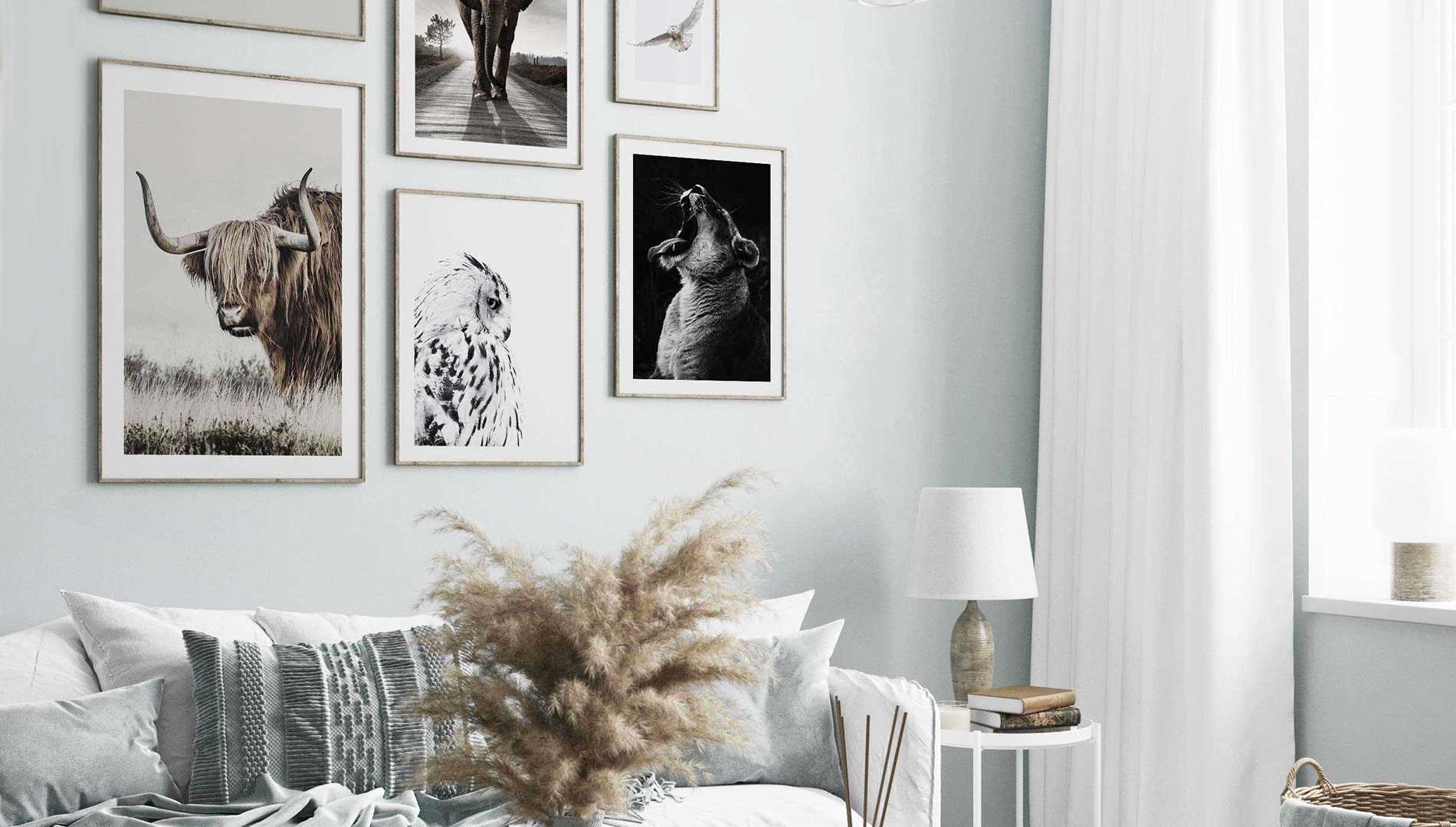 Gyvūnų plakatų atspaudai | Plakatai su gyvūnų atspaudais | Gallerix.lt